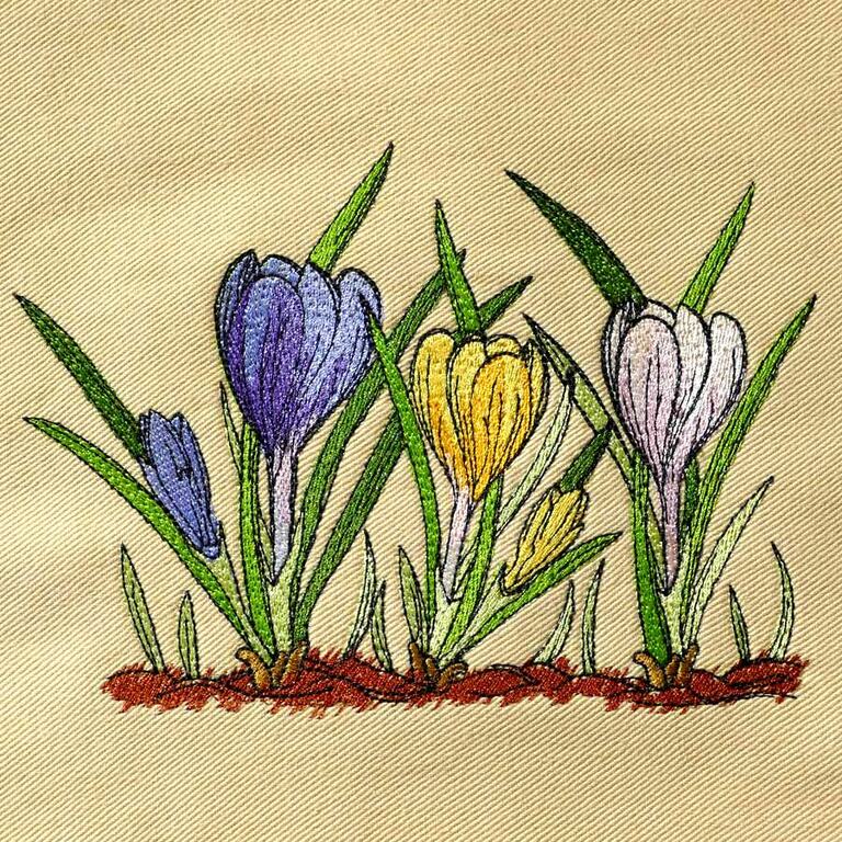 Embroidery design wild crocus - spring greetings from garden